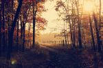Top 10 Films to Watch this Autumn – Roses Have Thoughts